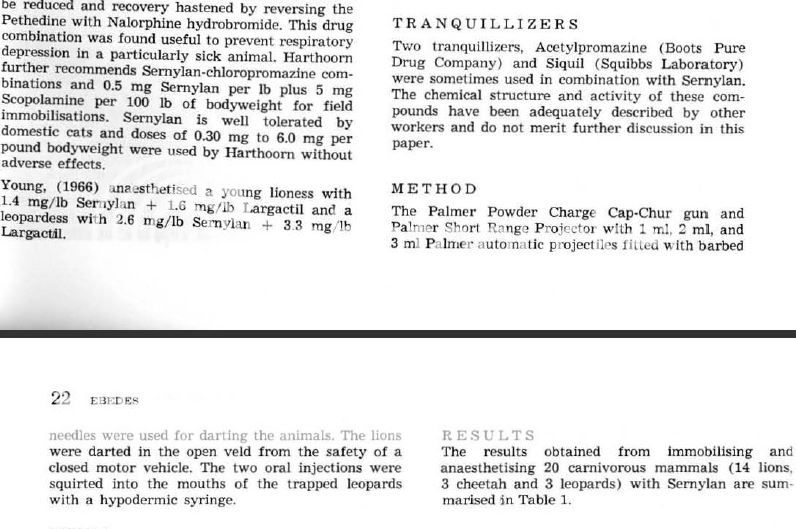 ON THE EDGE OF EXTINCTION - B - THE LION (Panthera leo)